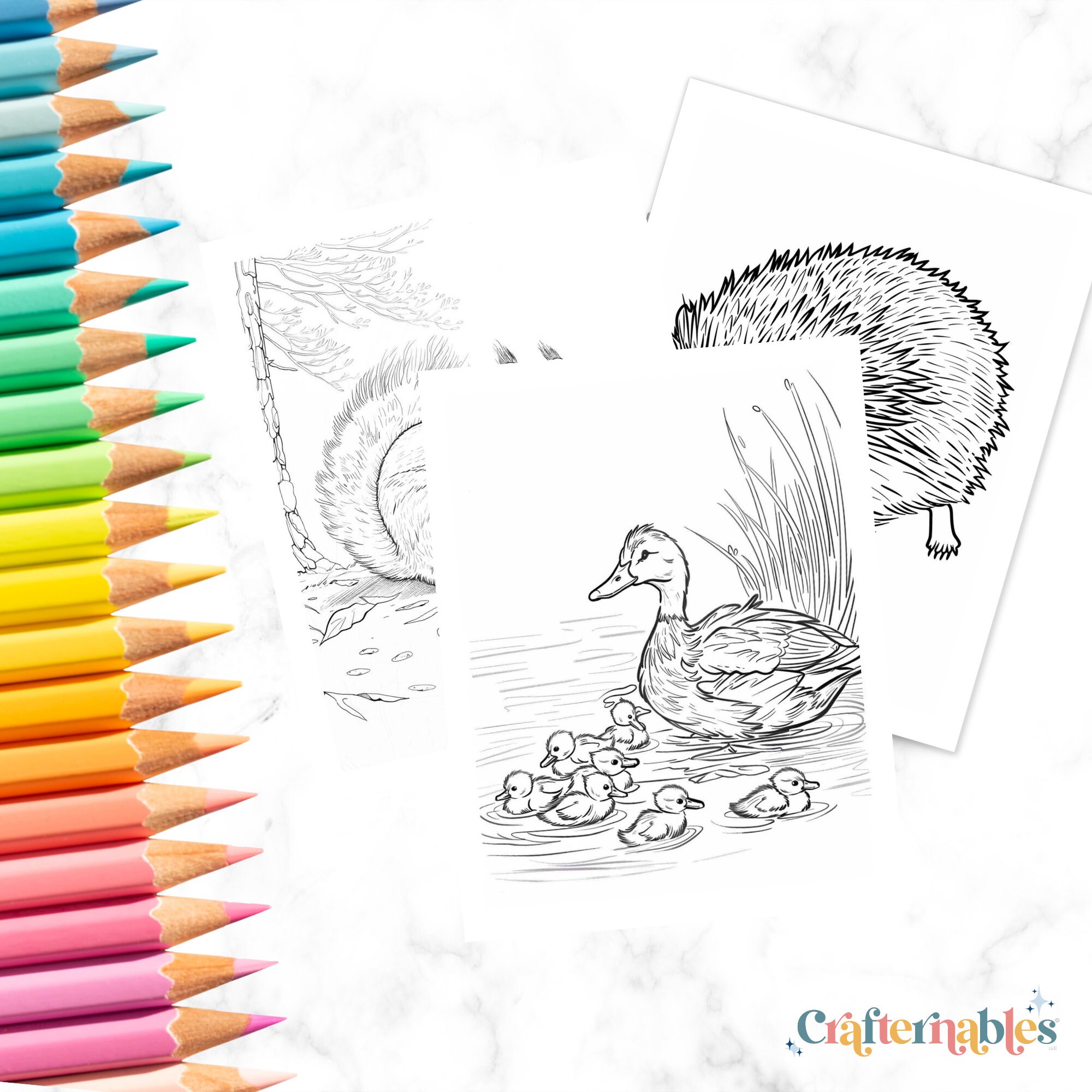 Spring Animals Coloring Pages Instant Download PDF for Nature ...