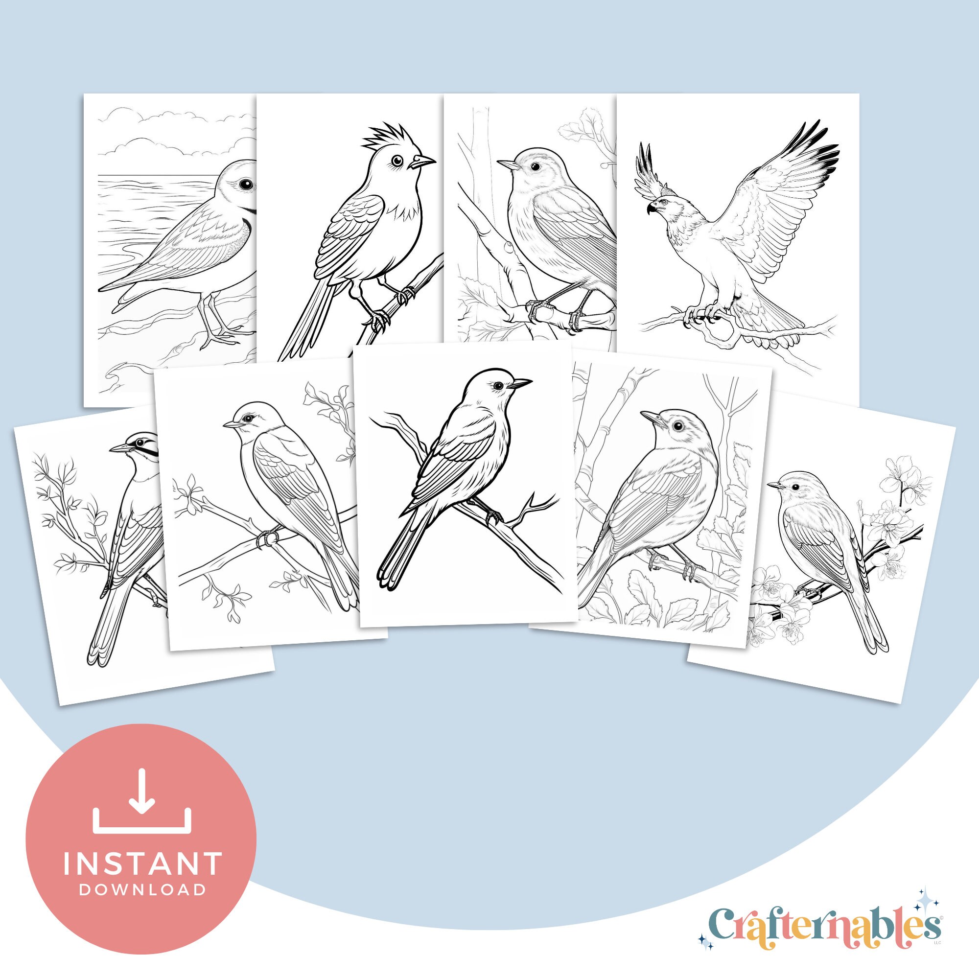 Simple Spring Bird Coloring Pages Instant Printable Digital Download 19 ...