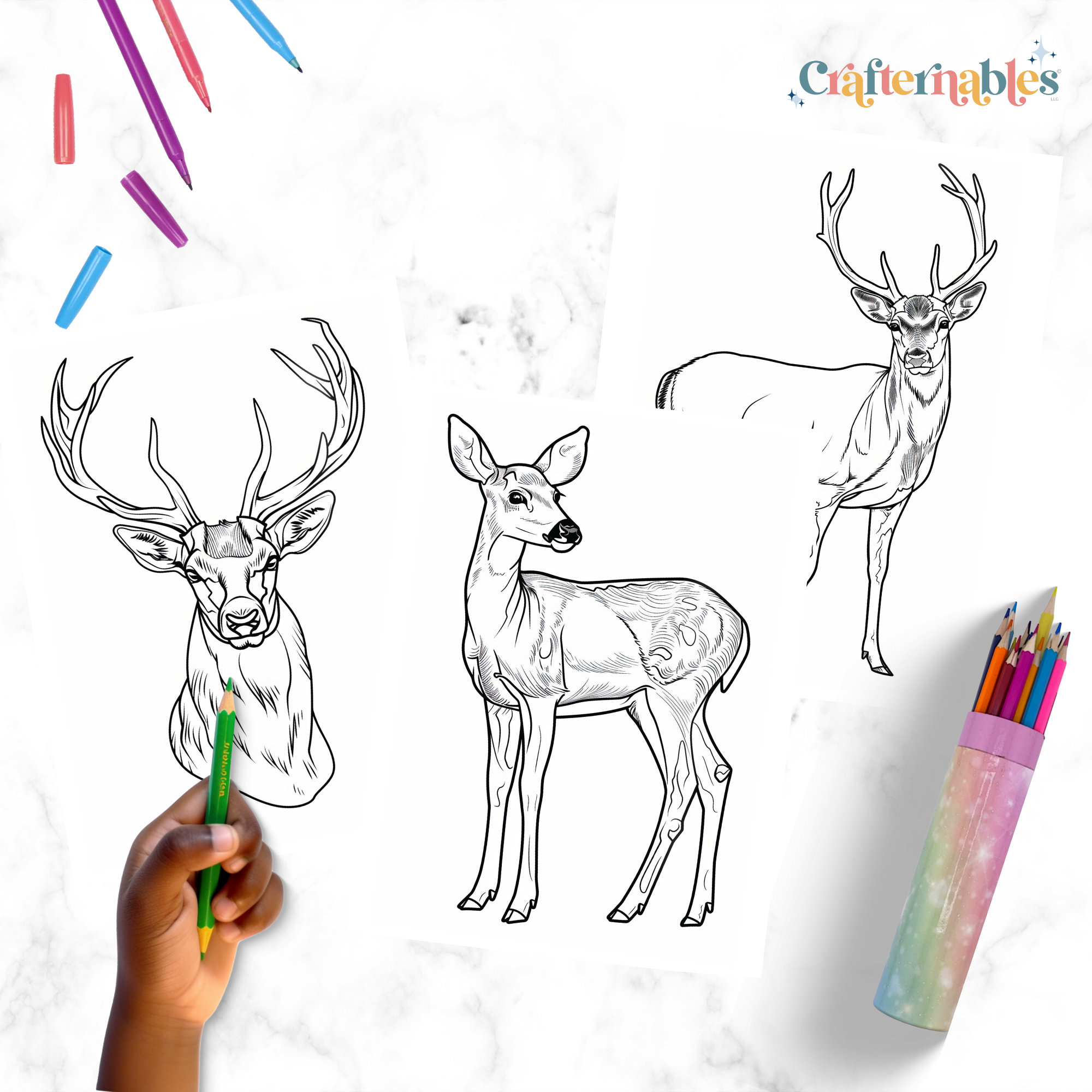 29 Playful Deer Coloring Pages for Kids Educational Activity Worksheets ...