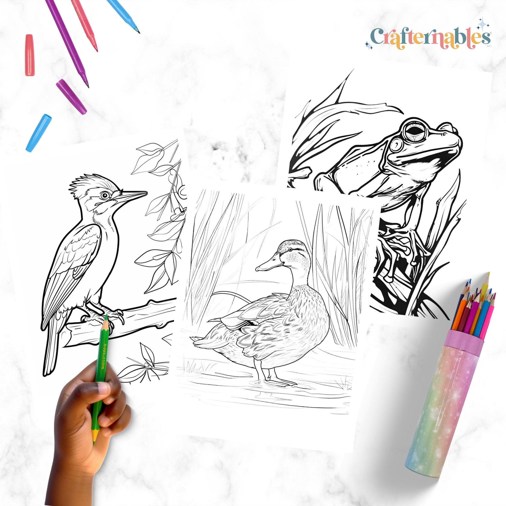 Spring Animals Coloring Pages Instant Download PDF for Nature ...