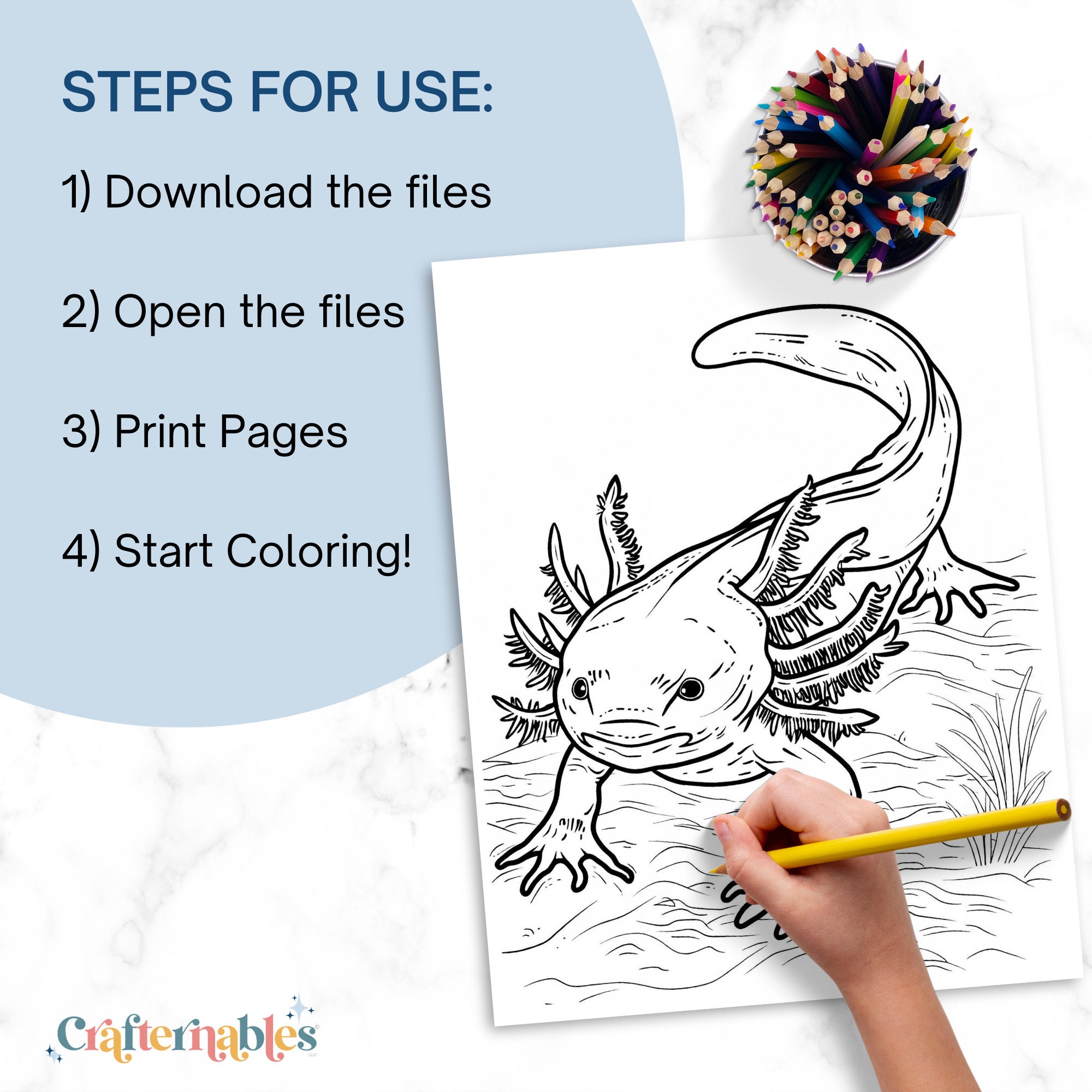 31 Page Bundle Axolotl Coloring Pages for Kids Educational Activity ...