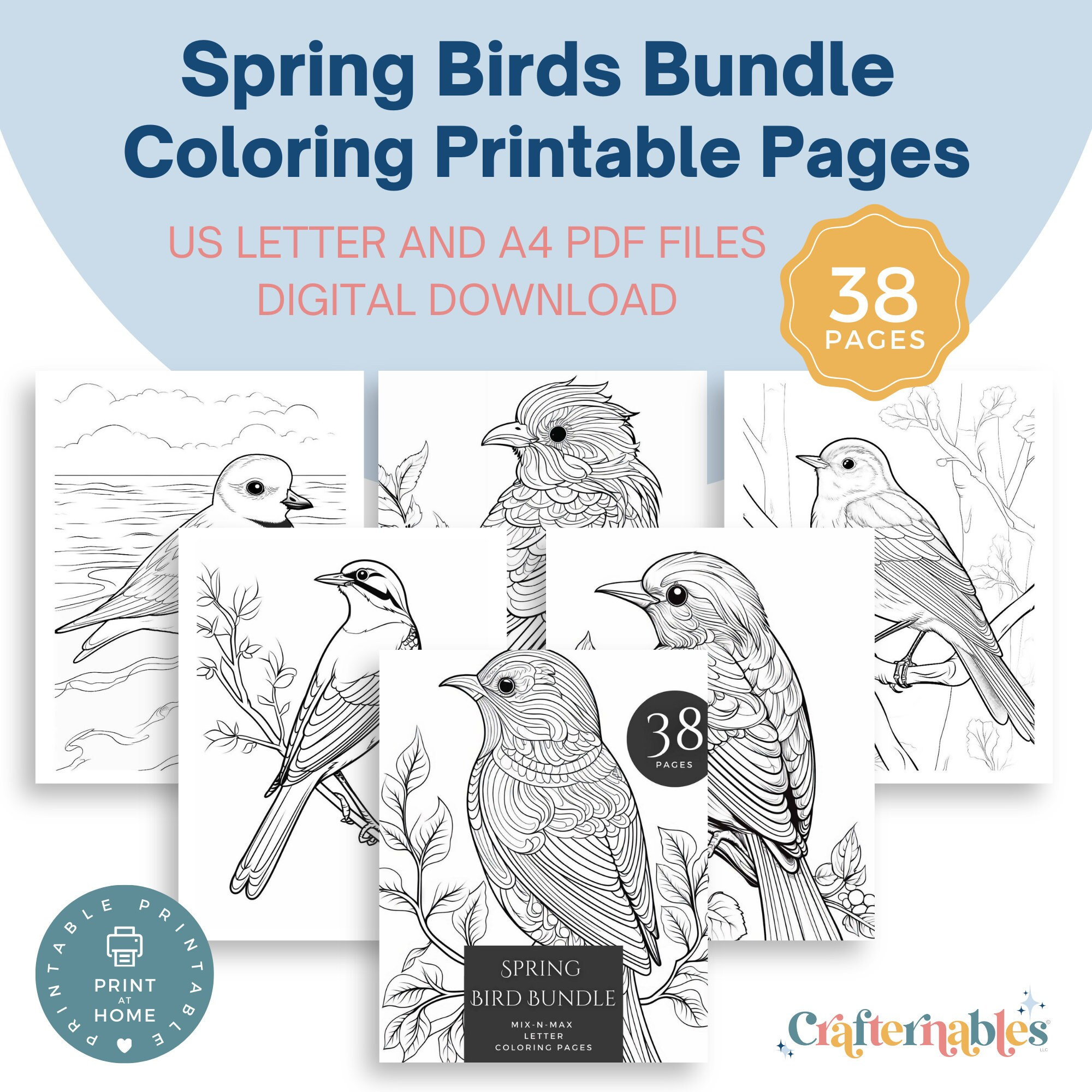 38 Spring Bird Coloring Pages - Instant Printable Digital Download ...