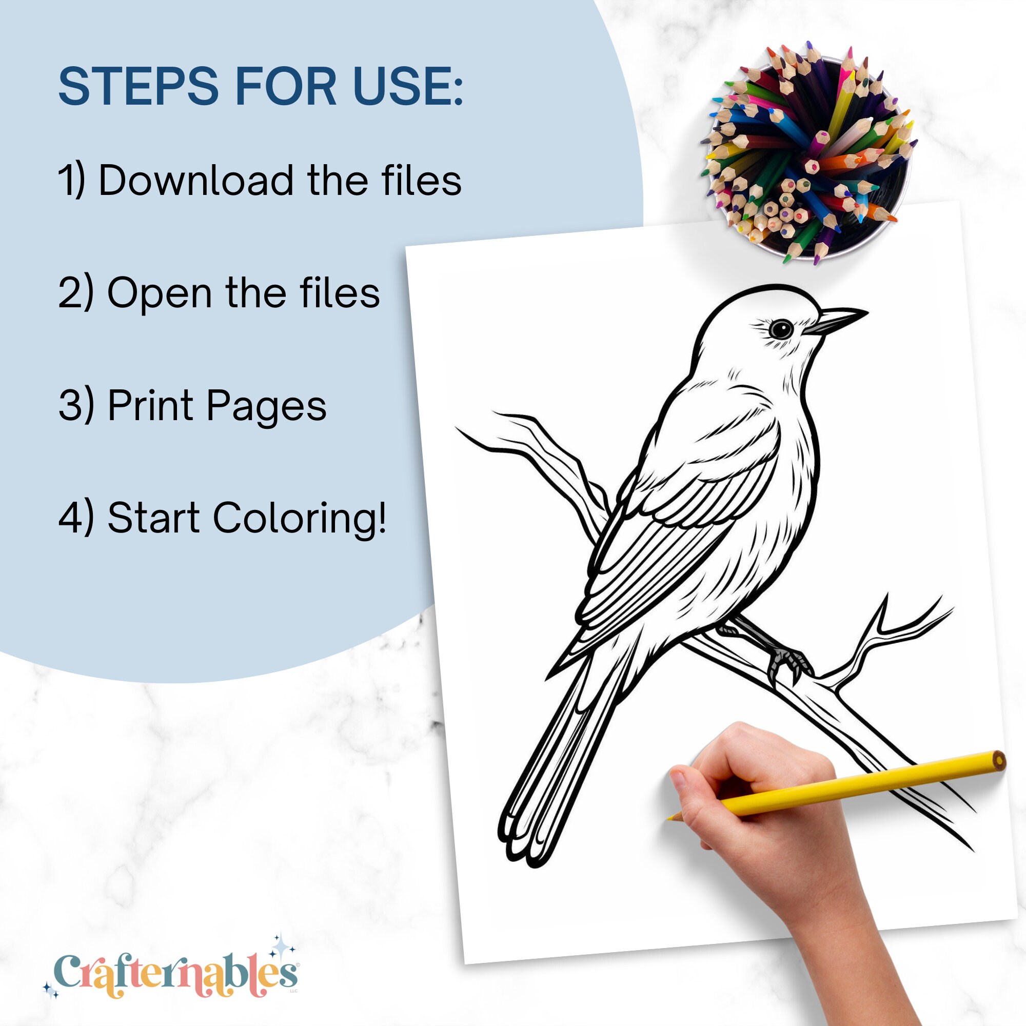 Simple Spring Bird Coloring Pages - Instant Printable Digital Download ...