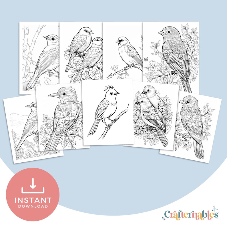 38 Spring Bird Coloring Pages Instant Printable Digital Download ...