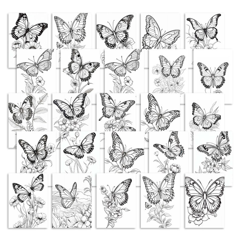 Butterflies & Plants Coloring Pages - 32 Sheets - Digital Download ...
