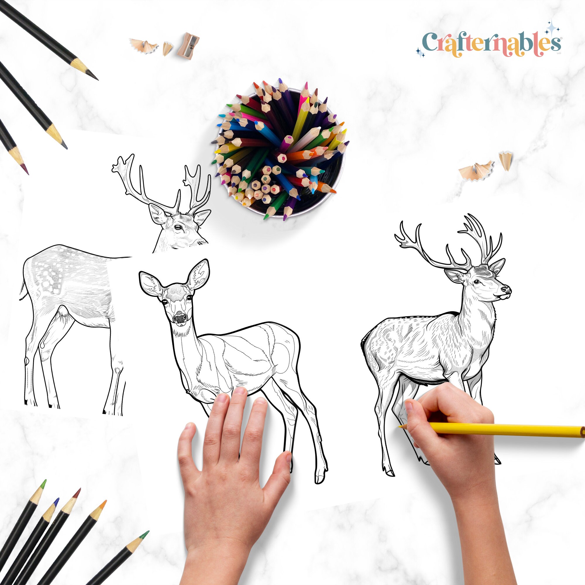 29 Playful Deer Coloring Pages for Kids! Educational Activity ...