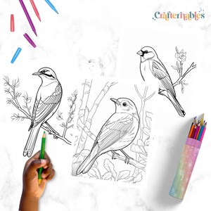 Simple Spring Bird Coloring Pages - Instant Printable Digital Download ...