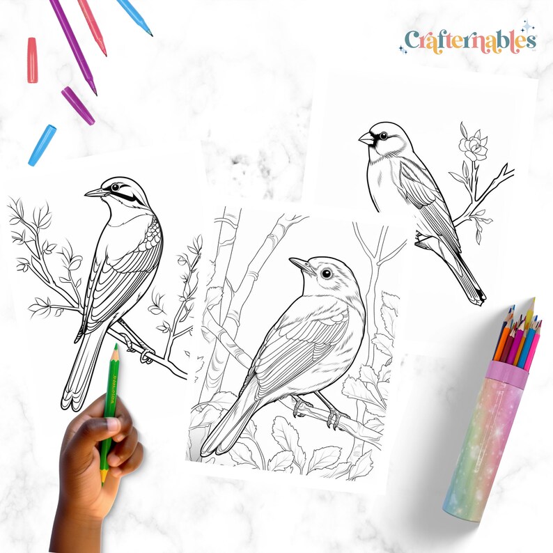 Simple Spring Bird Coloring Pages - Instant Printable Digital Download ...