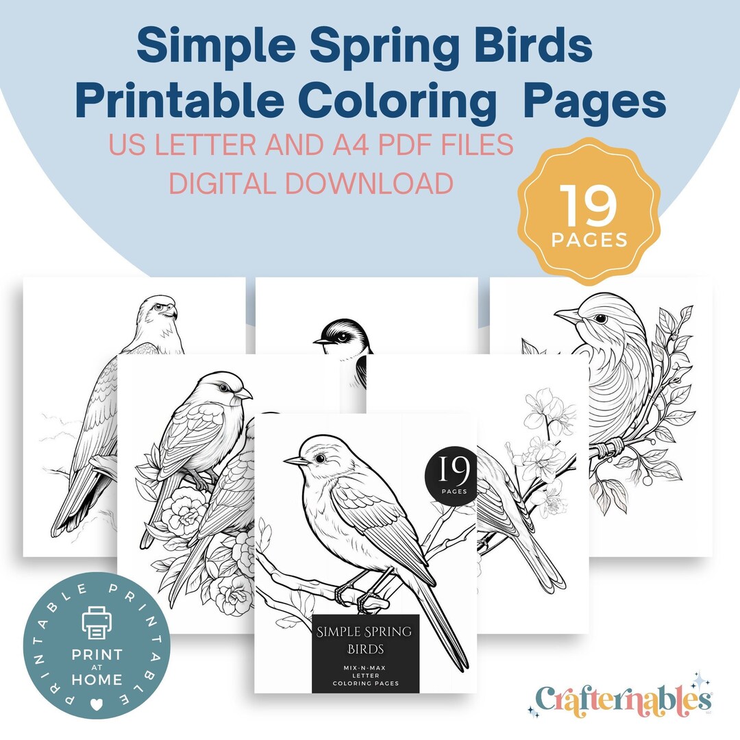 Simple Spring Bird Coloring Pages - Instant Printable Digital Download ...