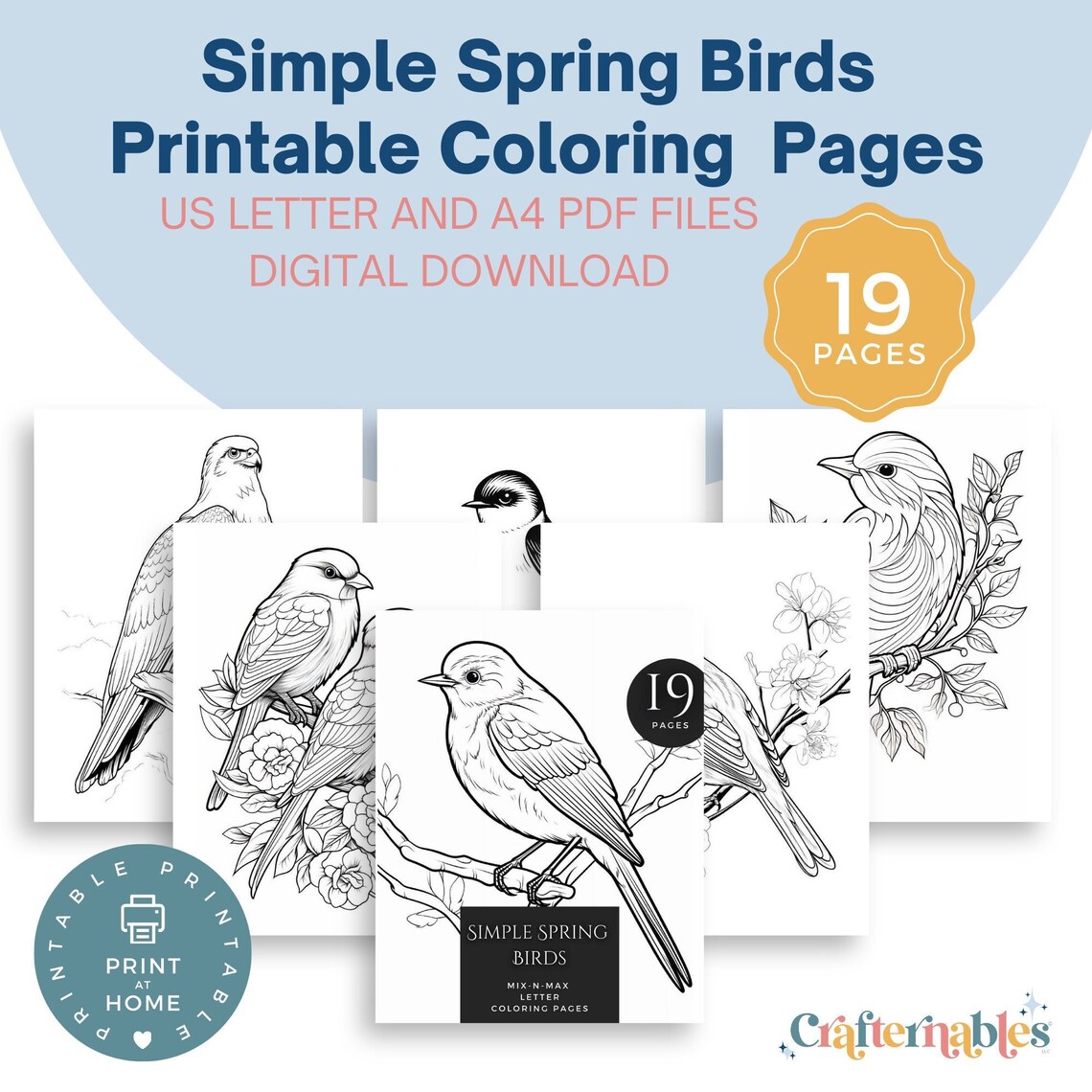 Simple Spring Bird Coloring Pages - Instant Printable Digital Download ...