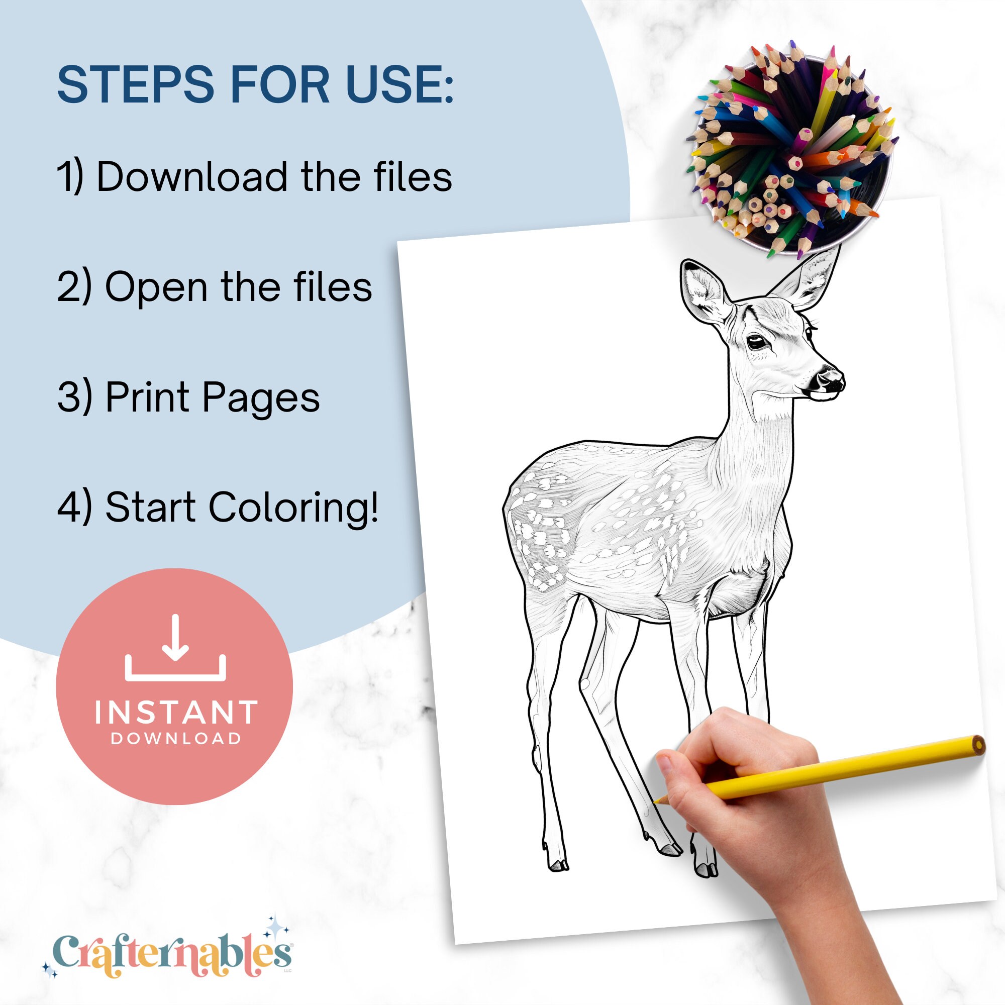 29 Playful Deer Coloring Pages for Kids! Educational Activity ...