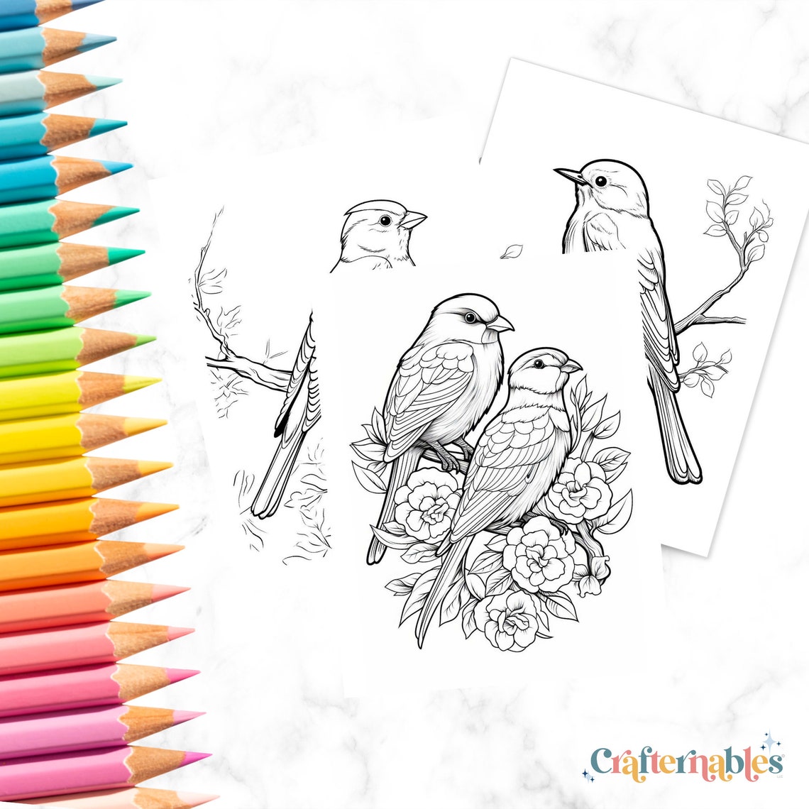 Simple Spring Bird Coloring Pages - Instant Printable Digital Download ...