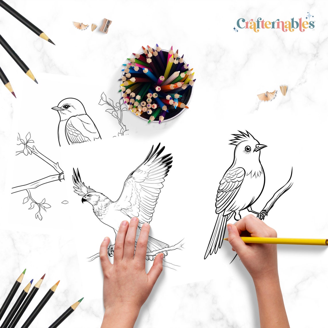 Simple Spring Bird Coloring Pages - Instant Printable Digital Download ...
