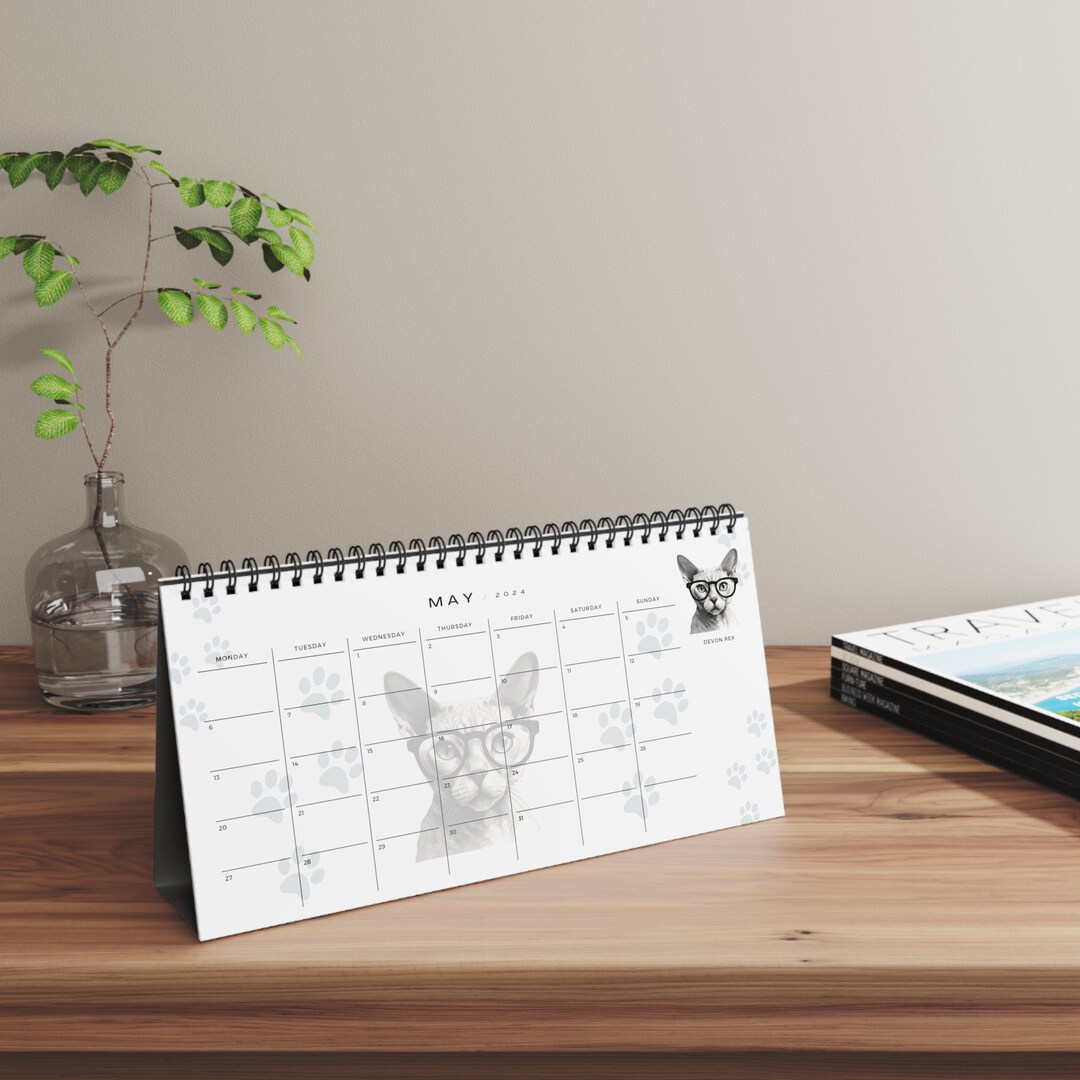2024 Calendar 2024 Cats Desk Calendar Cats Wearing Glasses - Etsy België