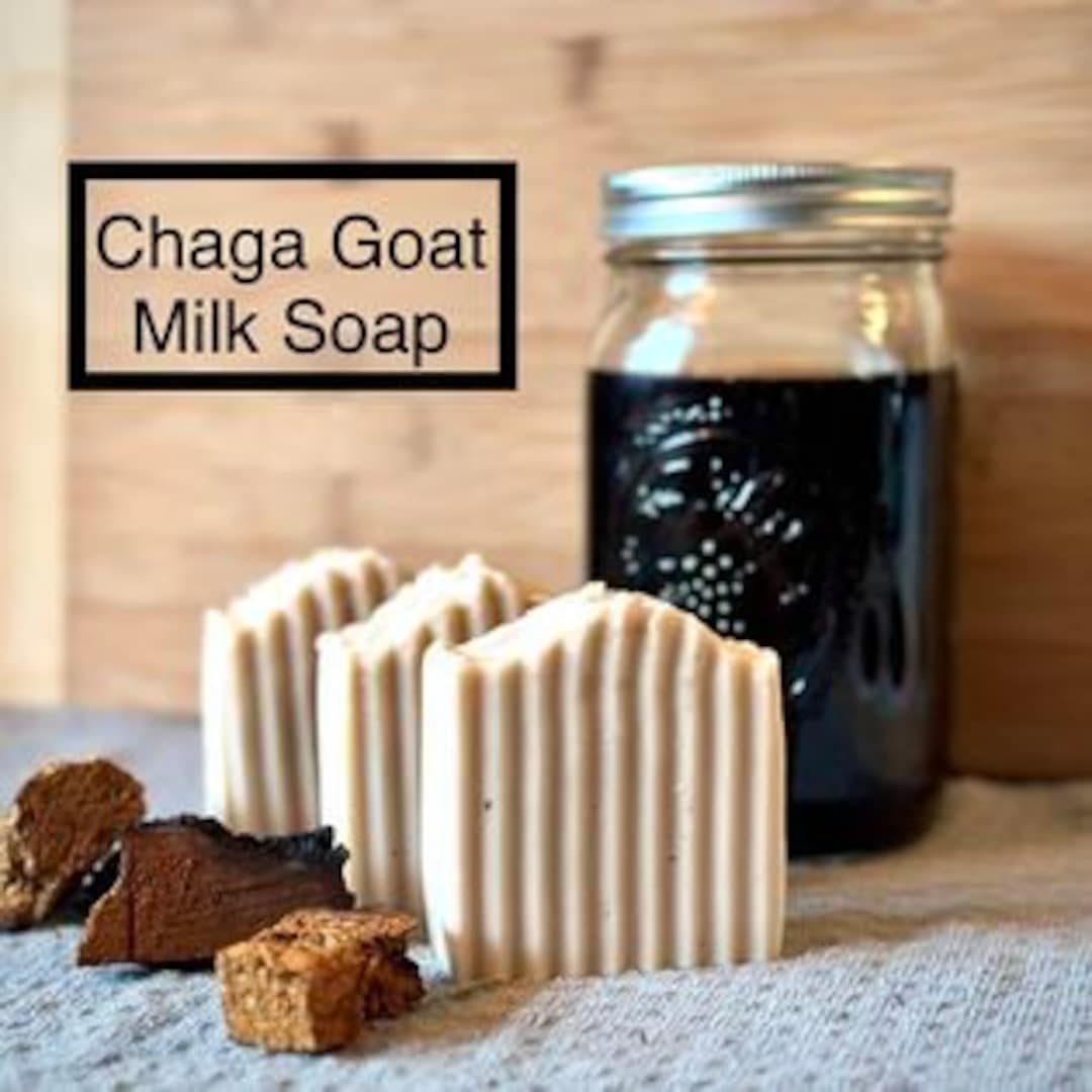 Chaga Goat Milk Soap - Etsy