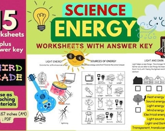 Human Body Systems and Organs for Primary Grades Science - Etsy