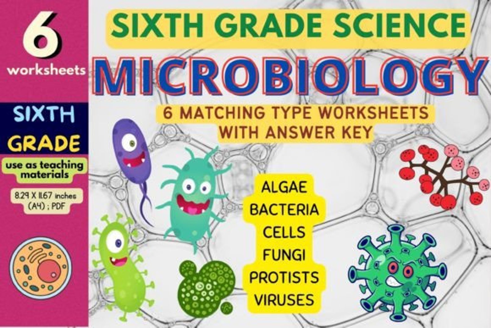 6th Grade Microbiology Science Worksheets | Printable - Etsy