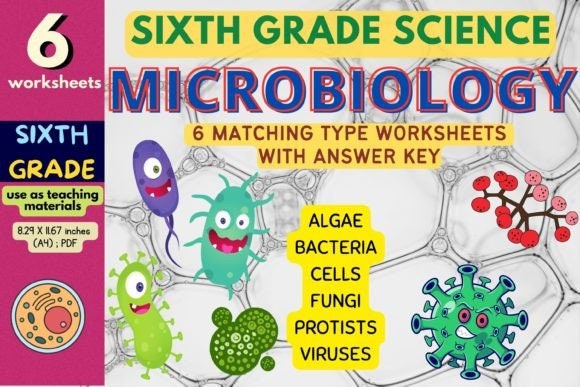 6th Grade Microbiology Science Worksheets | Printable - Etsy