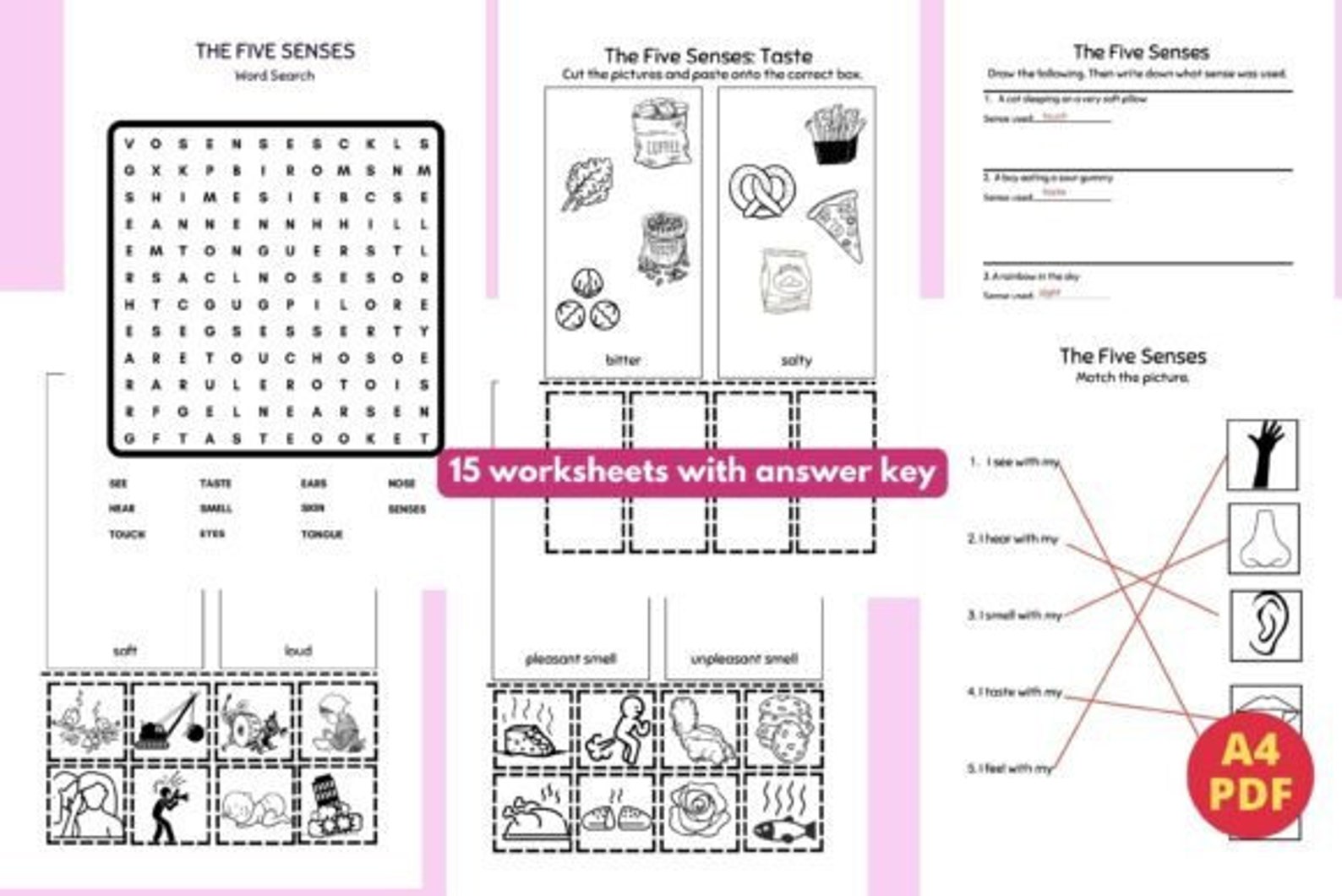 The Five Senses Science Worksheets | Printable - Etsy
