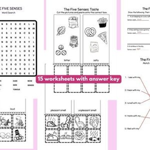 The Five Senses Science Worksheets | Printable - Etsy