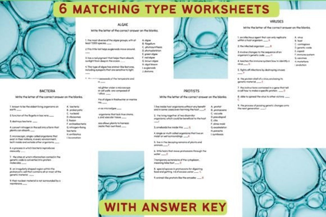 6th Grade Microbiology Science Worksheets | Printable - Etsy