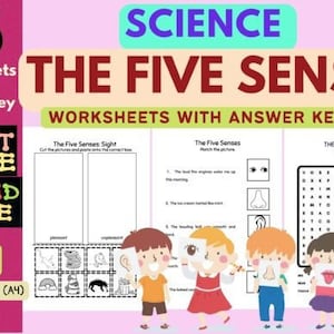 The Five Senses Science Worksheets | Printable - Etsy
