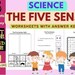 The Five Senses Science Worksheets | Printable - Etsy