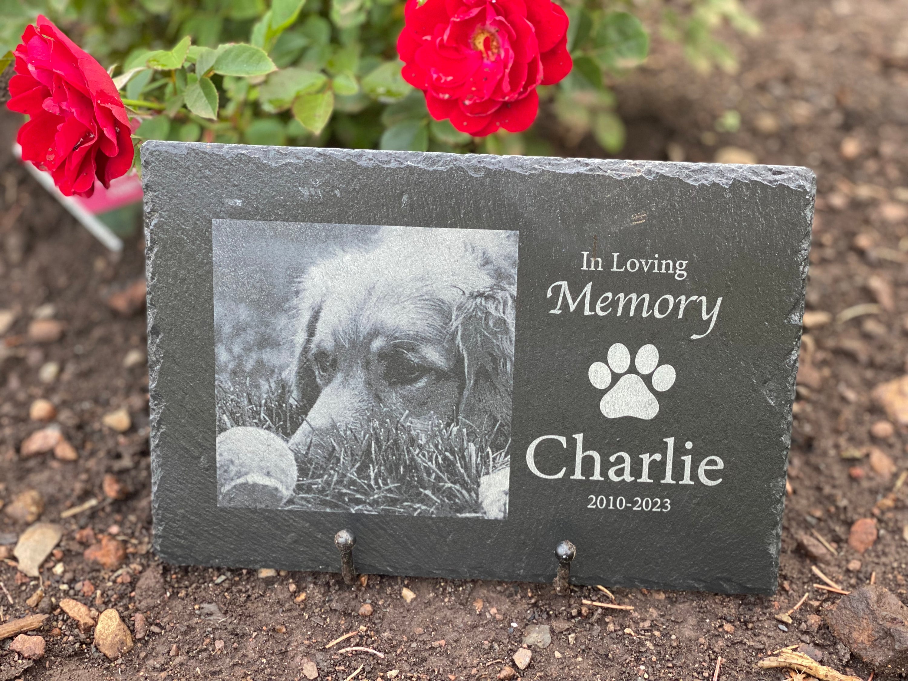 Custom Laser Engraved Pet Memorial Garden Stone With Photo Portrait I ...