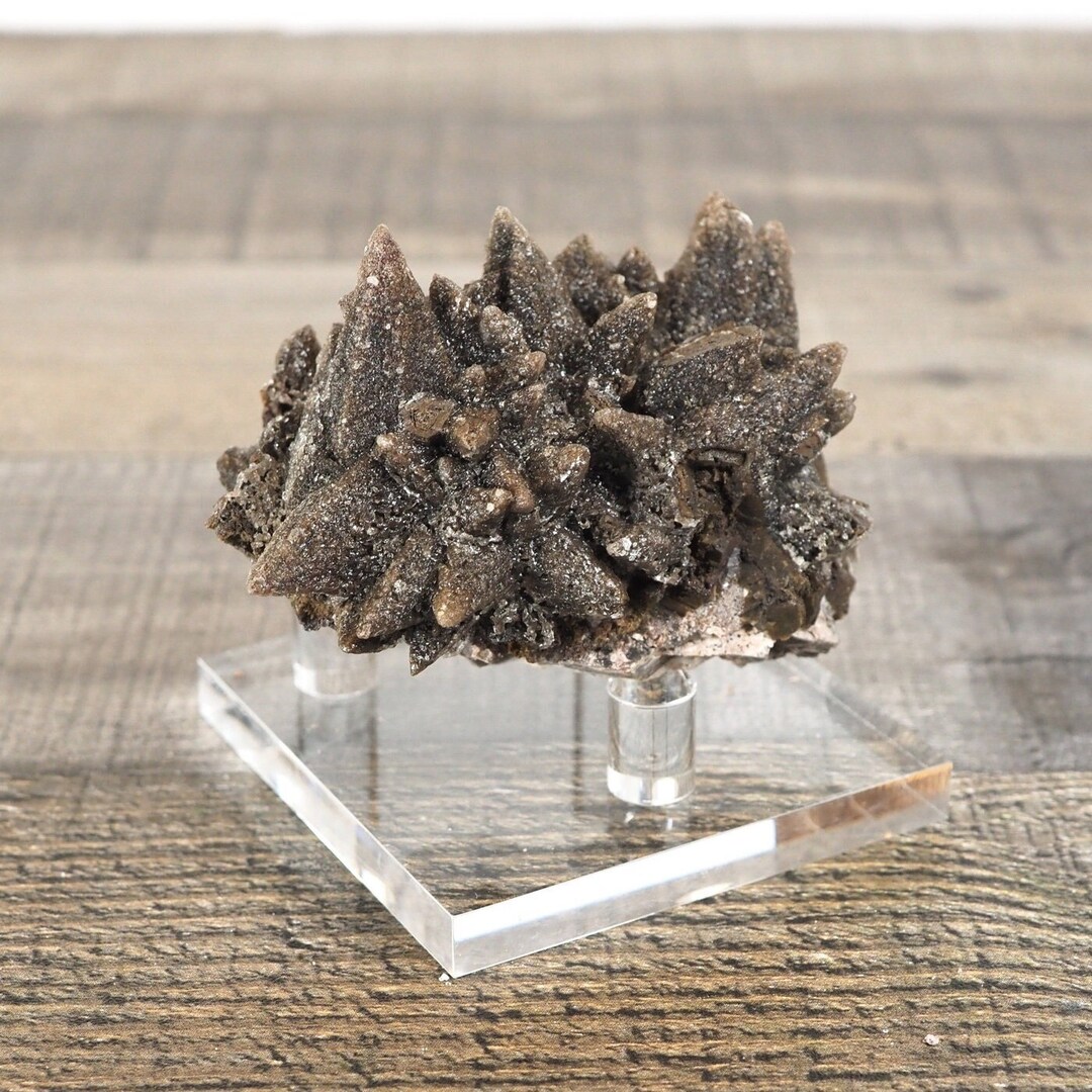 Magical Chocolate Dogtooth raven's Wing Calcite Specimen With Sugary ...