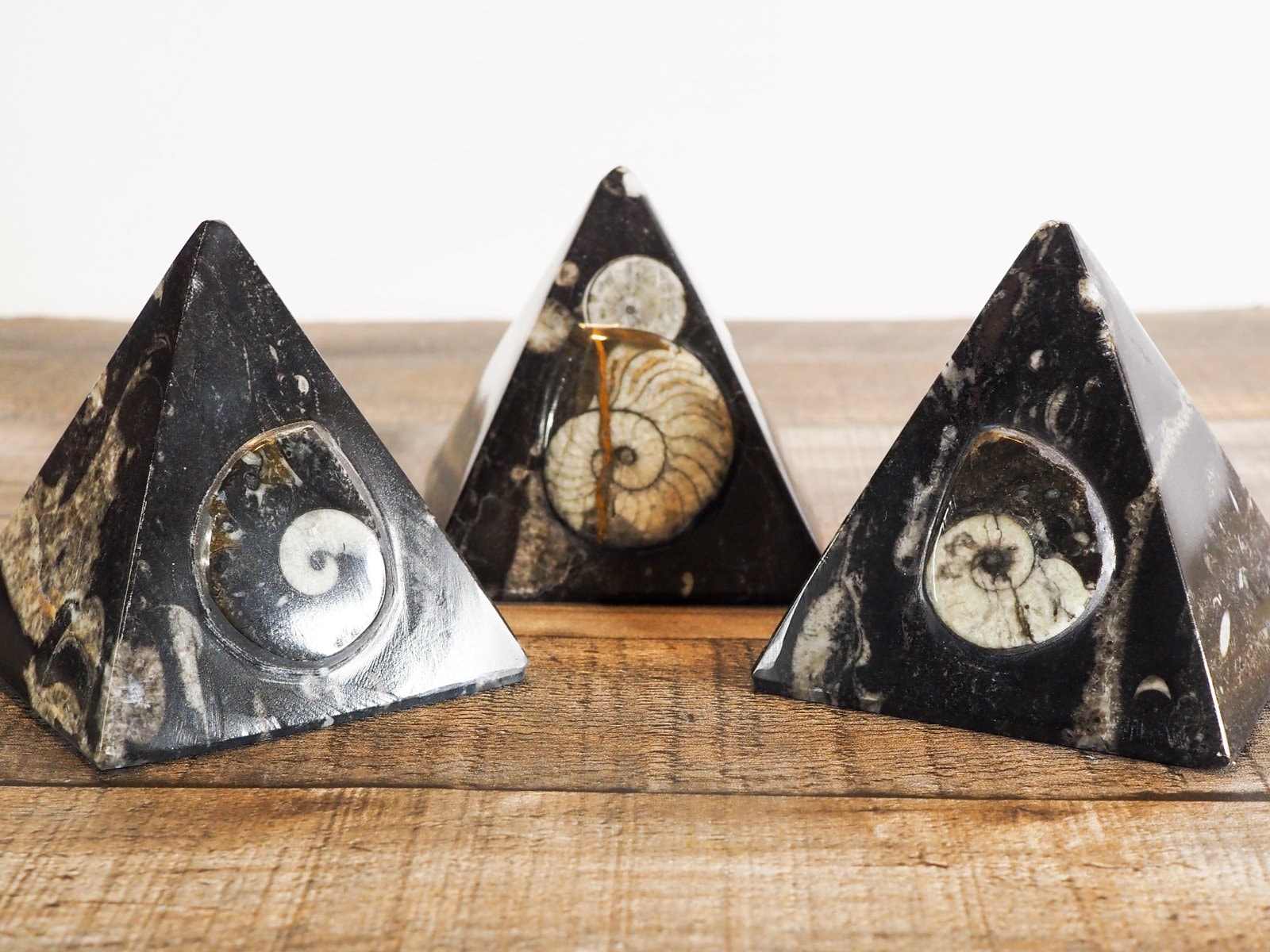 Ammonite & Orthoceras Fossil Pyramid Carving: Black and White Limestone ...