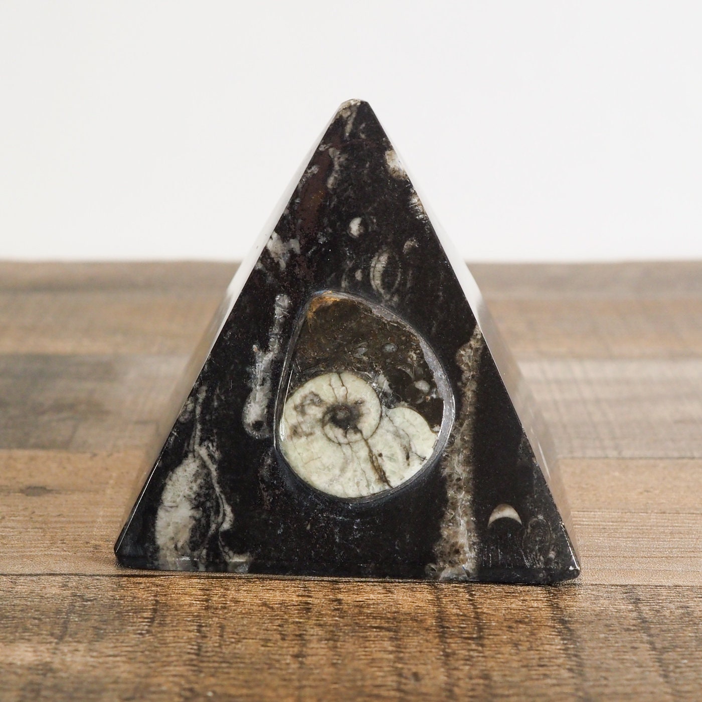 Ammonite & Orthoceras Fossil Pyramid Carving: Black and White Limestone ...
