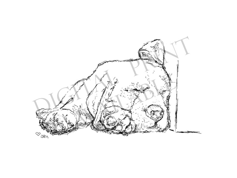 Labrador Puppy Sketch Art Print: Sleeping Dog Portrait (digital ...