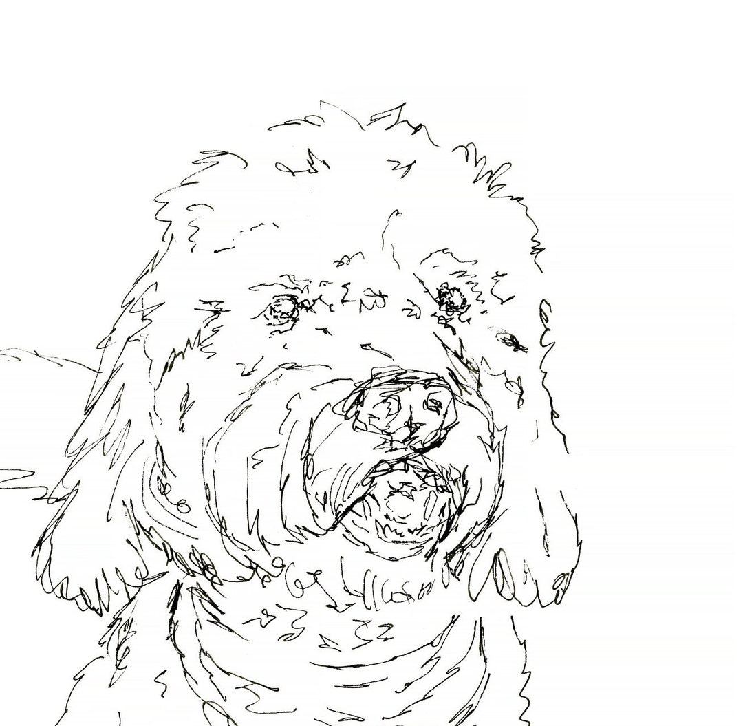 Doodle Black and White Sketch Instant Download | Doodle Dog Sketch ...
