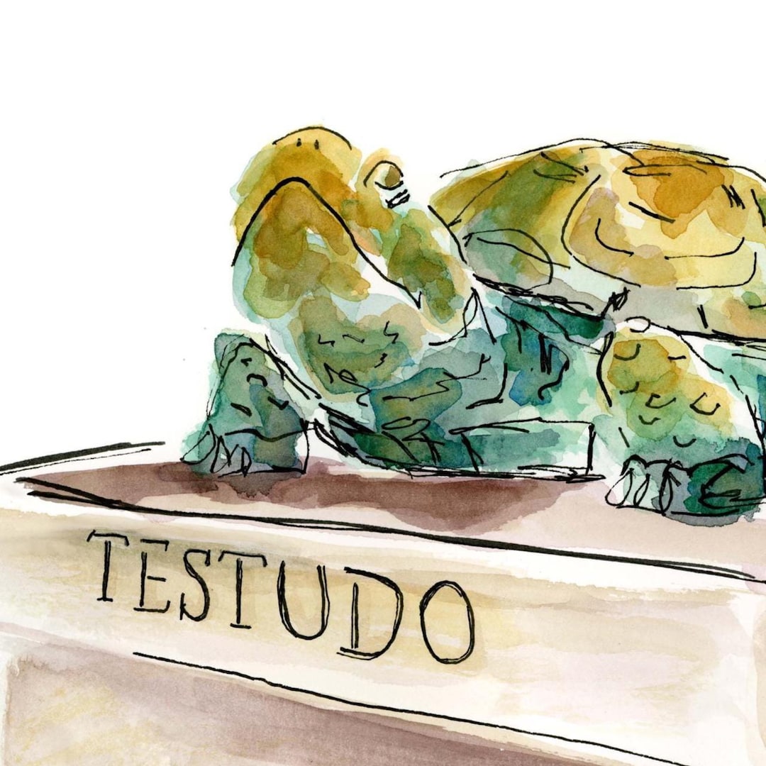 Testudo Watercolor Print | University of Maryland Testudo Statue ...