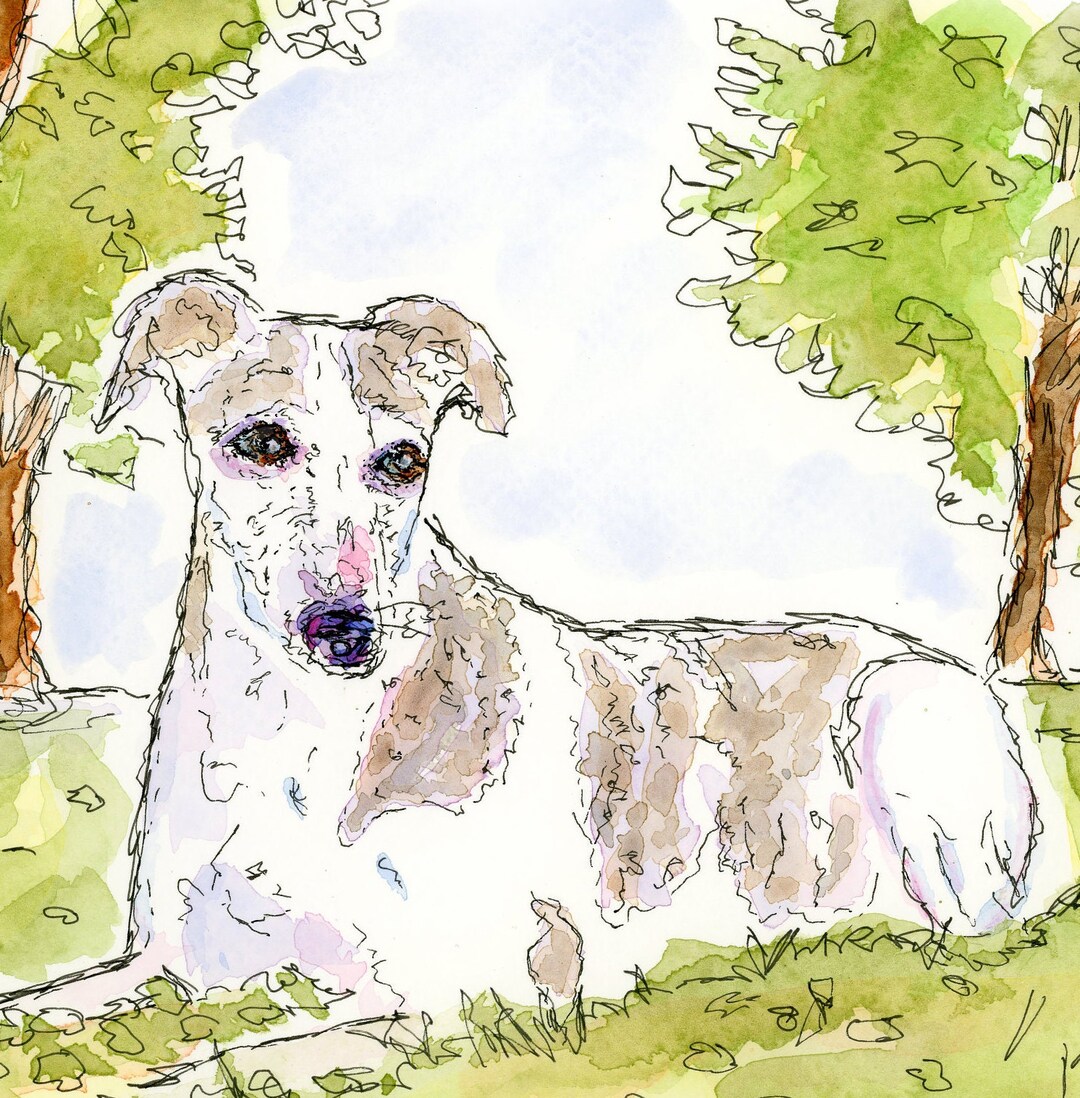Greyhound Watercolor | Doodle Dog Sketch | Pet Artwork | Dog Drawing ...