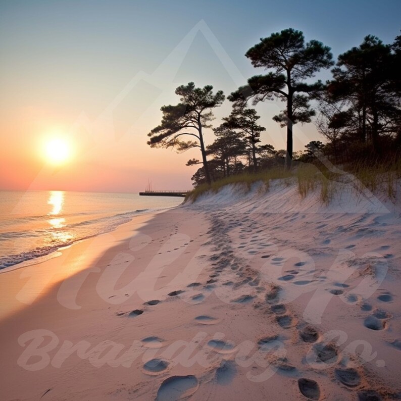 Ai-generated Sandy Beach Bundle Digital Download Instant - Etsy