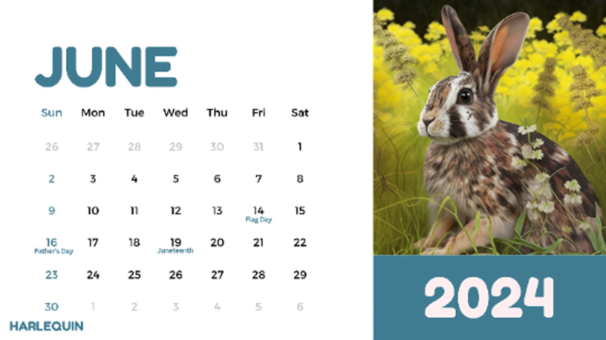 RABBIT CALENDAR 2003, 04 and 05, Printable, 3 Year Calendar Covering ...