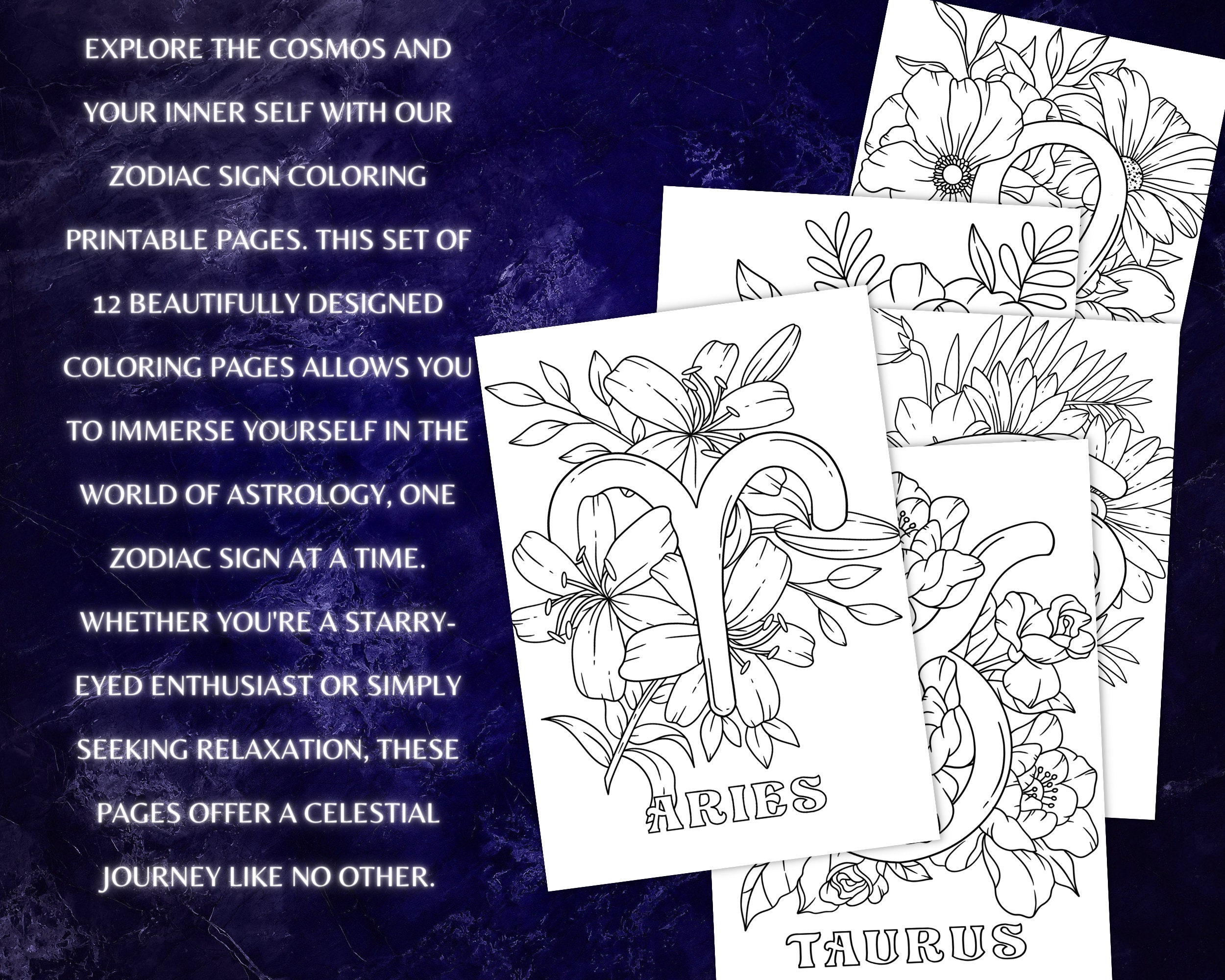 Zodiac Sign Coloring Printable Pages Set of 12 A4 Paper Size Instant ...