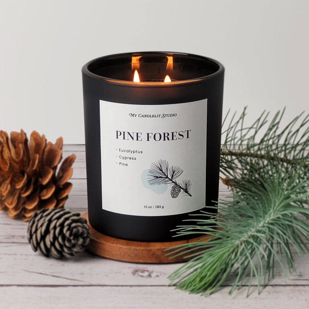 Pine Forest Soy Candle: Traditional Pine Scents, Phthalate-free, Gift ...