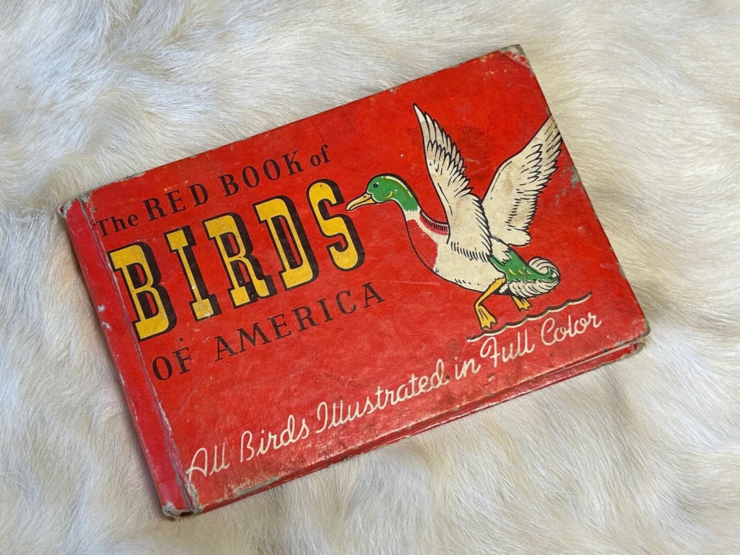 Red Book of Birds of America 1931 Color Illustrations Vintage Bird Book ...