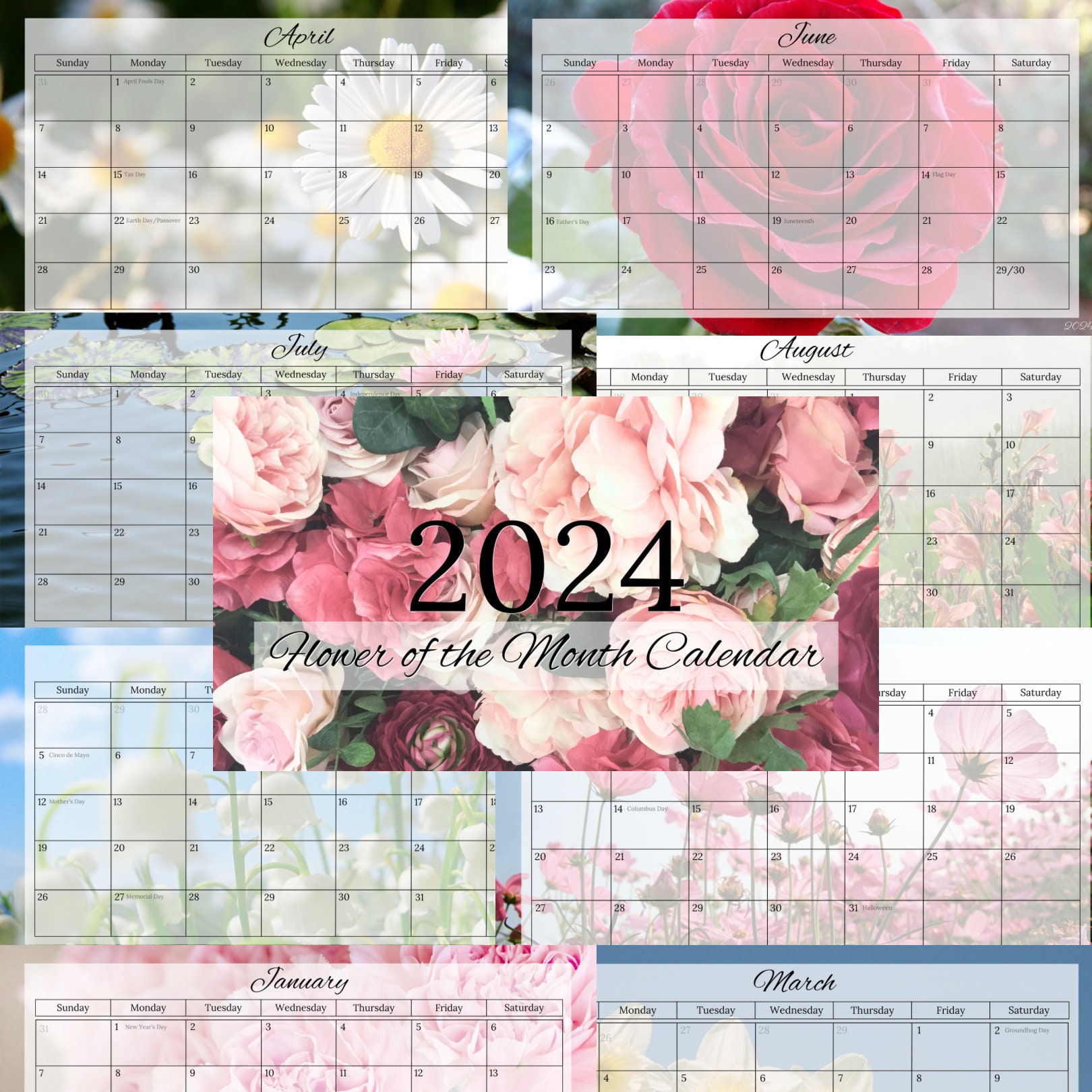 2024 Calendar: Flower of the Month - Etsy