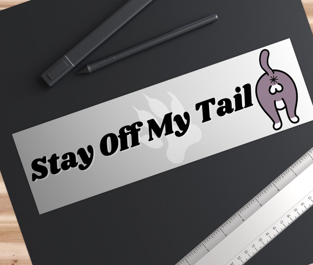 Funny Cat Bumper Sticker Cute Bumper Sticker Decals for Car Window ...