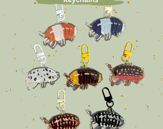 Mystery Isopod Keychains | Insect Invertebrate Bug Bag Keychains | Hand ...