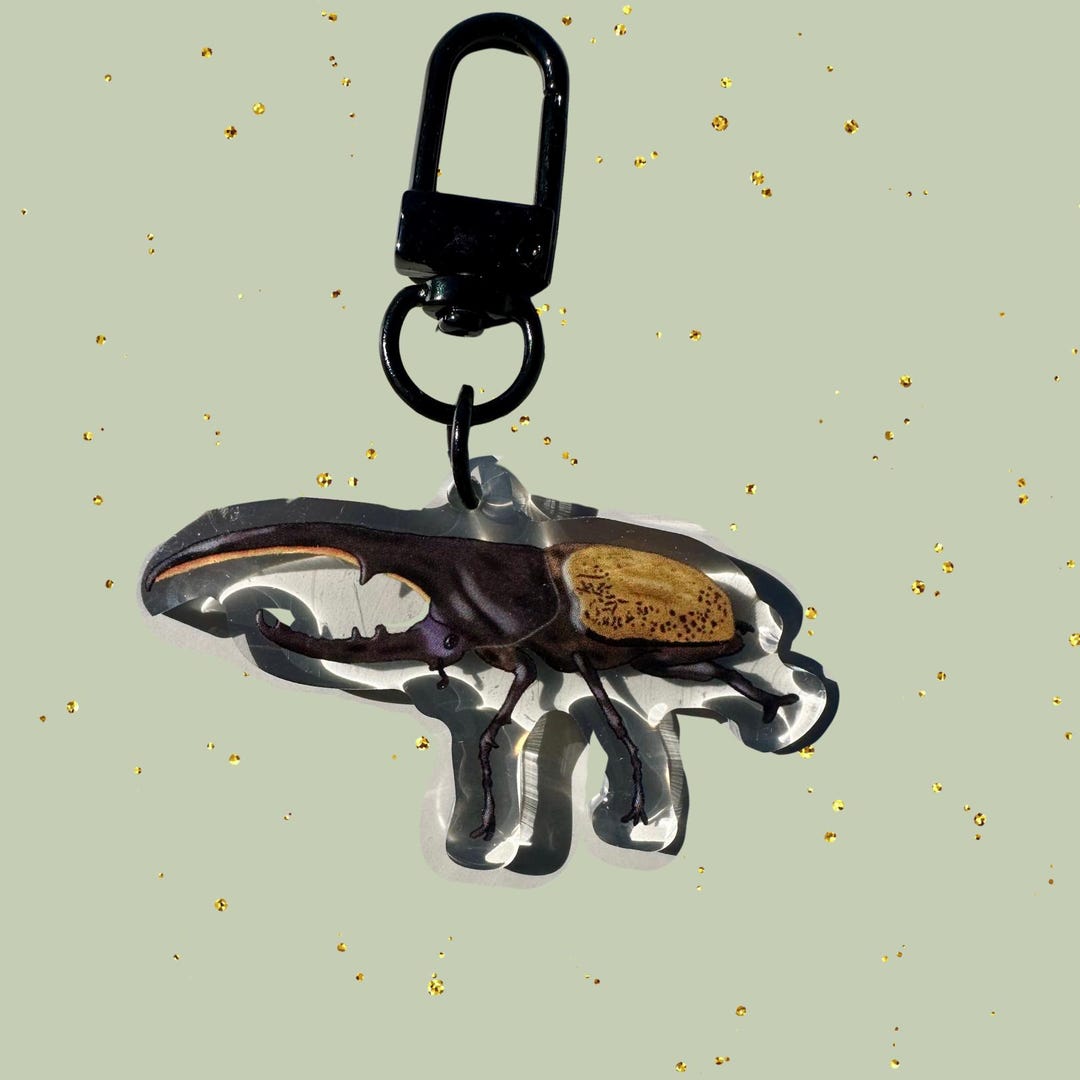 Hercules Beetle Keychain – Hand Designed Insect Bag Charm – Invert ...