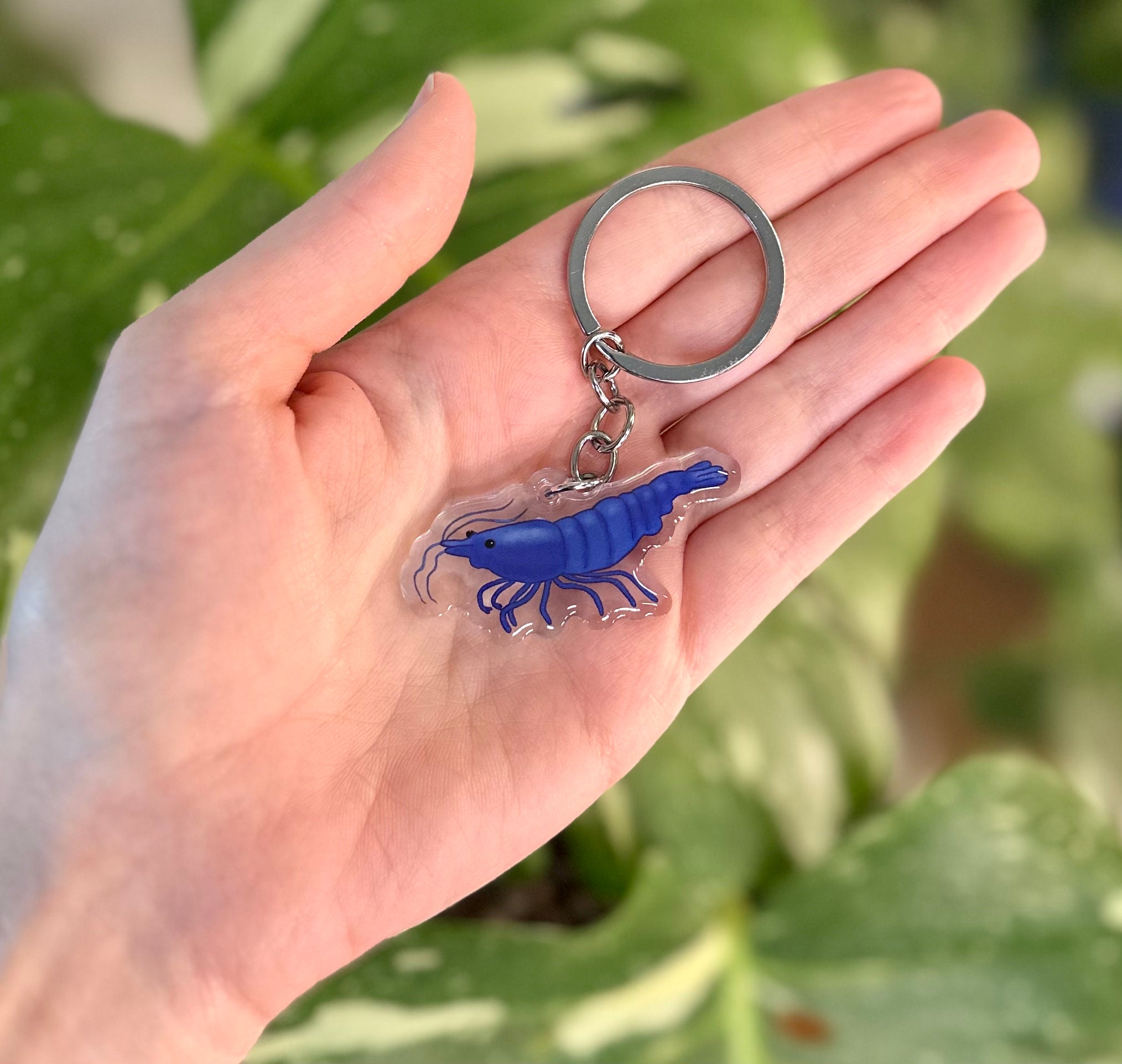 Blue Dream Cherry Shrimp Keychains Freshwater Aquarium Cute Art Charm ...