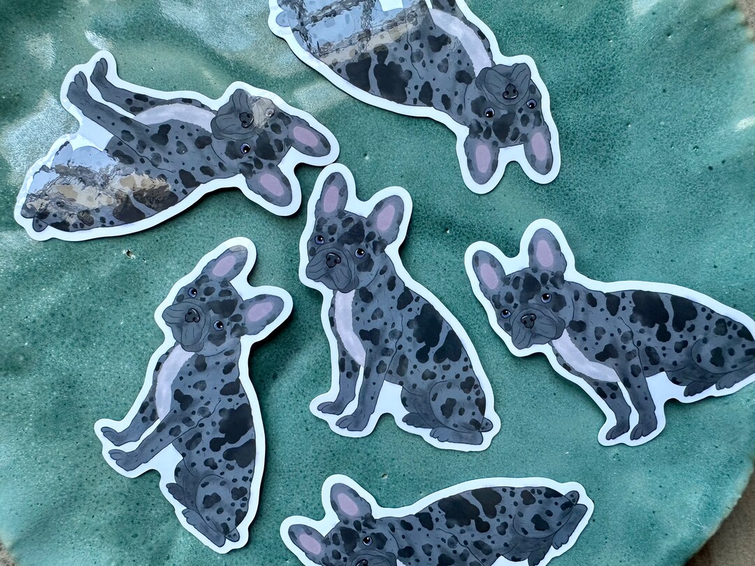 Blue Merle French Bulldog Stickers Blue Eyed Frenchie Dog Stickers Hand ...