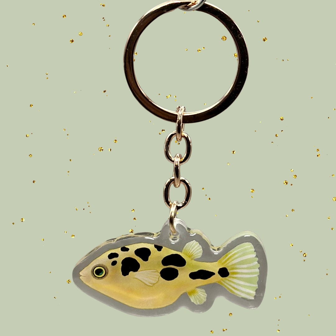 Pea Pufferfish Keychains | Freshwater Aquarium | Cute Art Charm | Dwarf ...