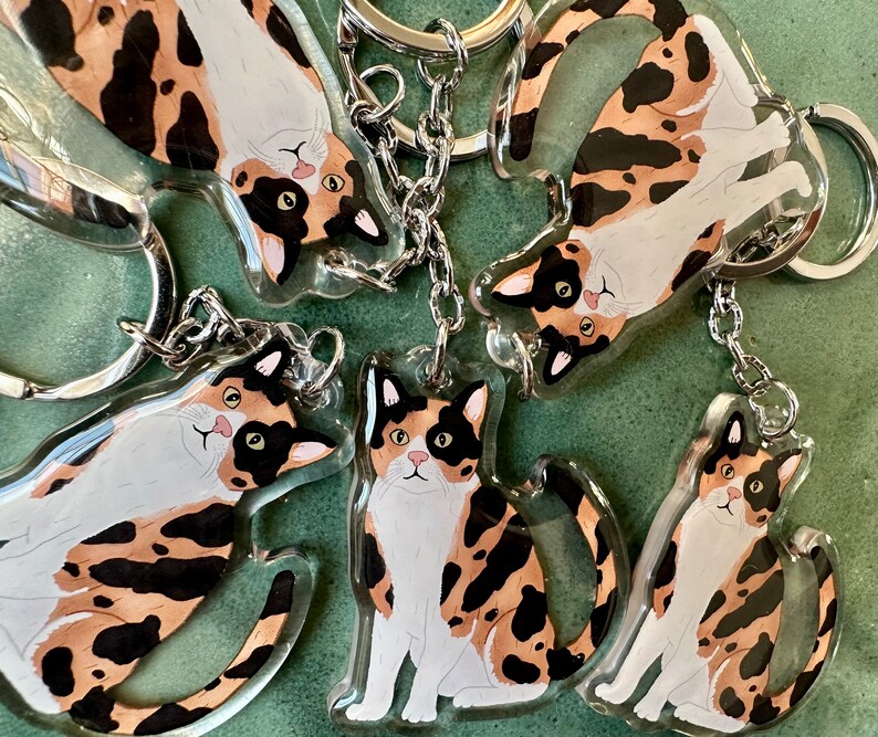 Calico Cat Keychains Cat Breed Acrylic Keychains Original Hand Drawn ...