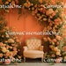 Luxury Orange Floral Minimalist Backdrop Set, Luxury Digital Overlays ...