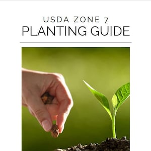 USDA Zone 7 Planting Guide - Etsy